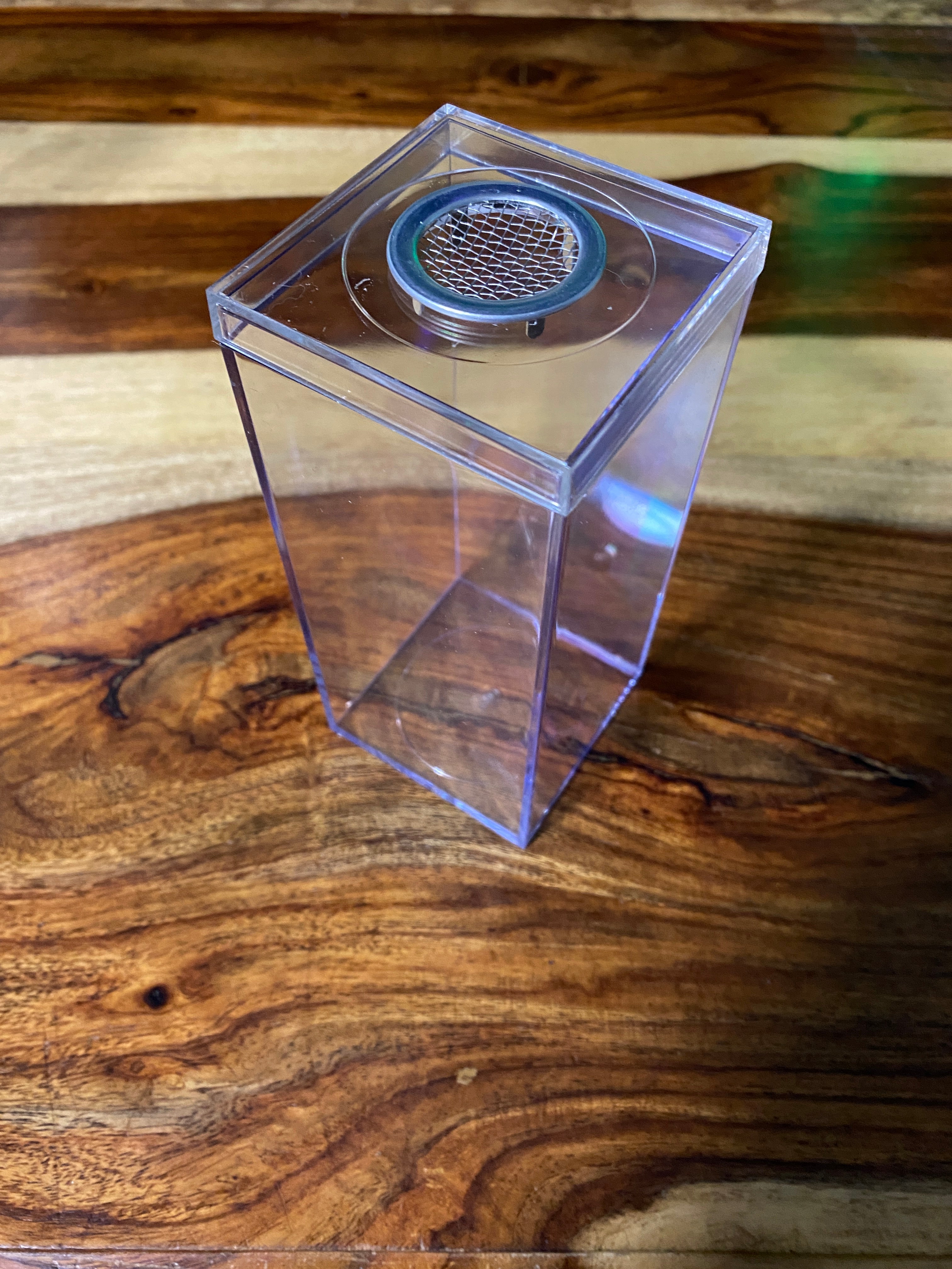 Spiderling Fossorial Enclosure